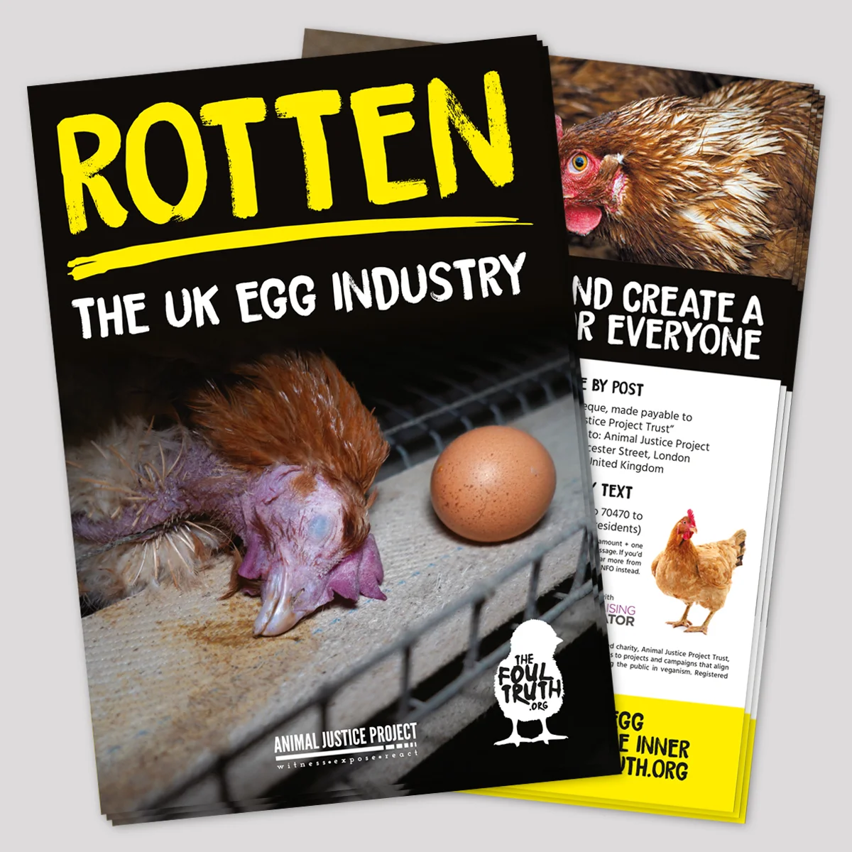 Rotten A5 Fold-out Leaflets